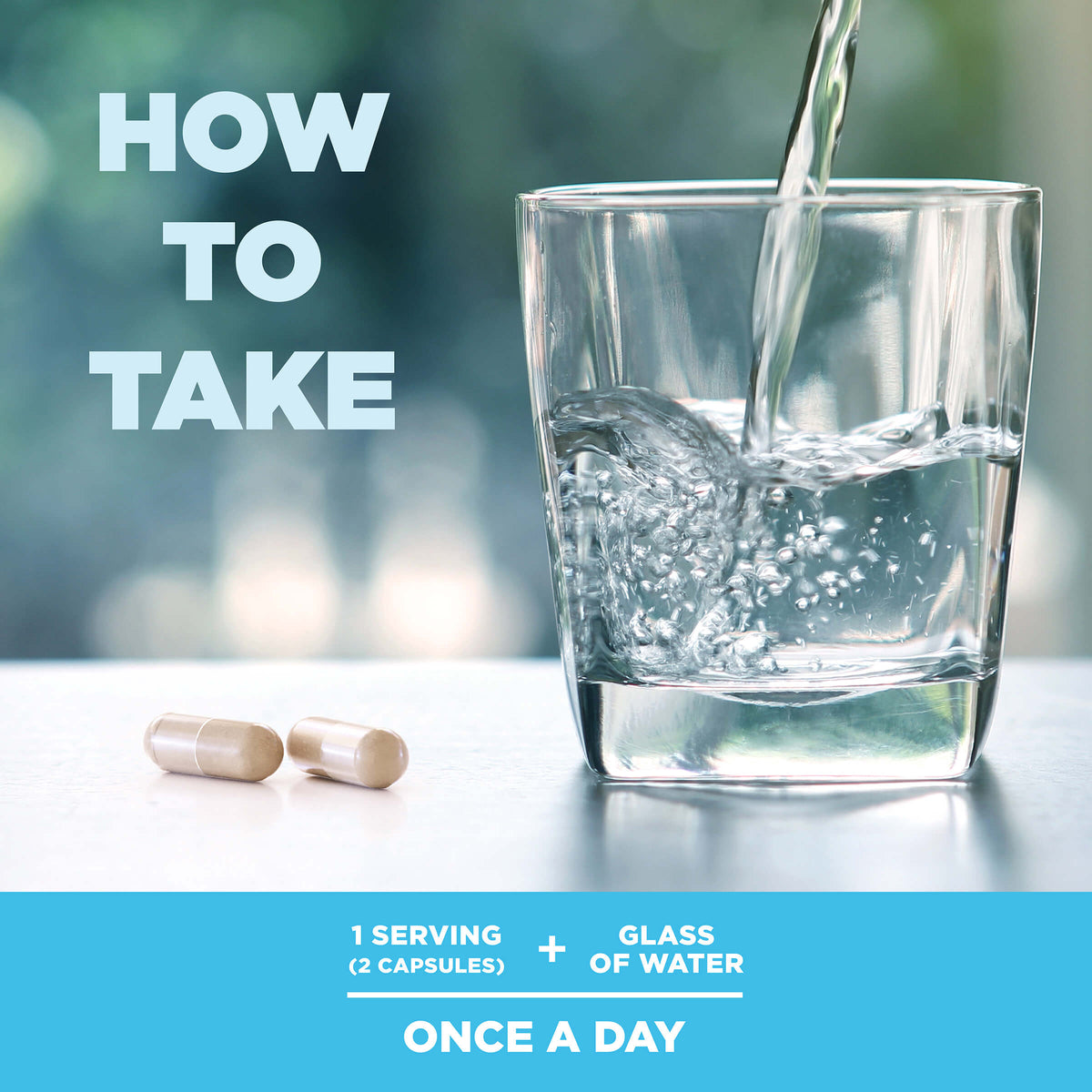 Provision AREDS 2 Eye Vitamins - Provision Eye Vitamins